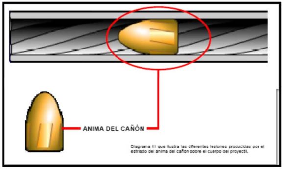 Subdirección de Criminalística - Instituto de Medicina Legal y Ciencias ...