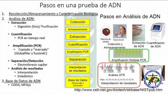 Peritos de ADN participan en entrenamiento “Programa CODIS” - Instituto ...